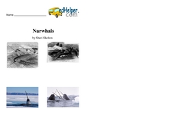 Read and Write Book: Narwhals