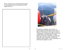Read and Write Book: Narwhals