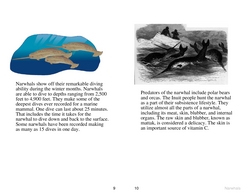 Read and Write Book: Narwhals