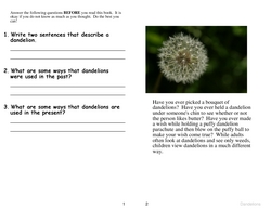 Read and Write Book: Dandelions