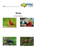 Read and Write Book: Beaks