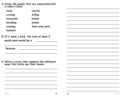 Read and Write Book: Beaks