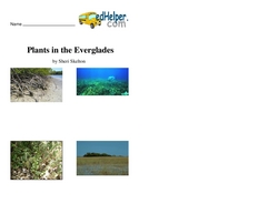 Read and Write Book: Plants in the Everglades