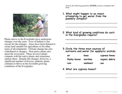 Read and Write Book: Plants in the Everglades