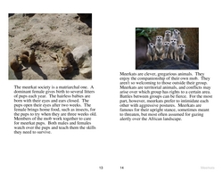 Read and Write Book: Meerkats